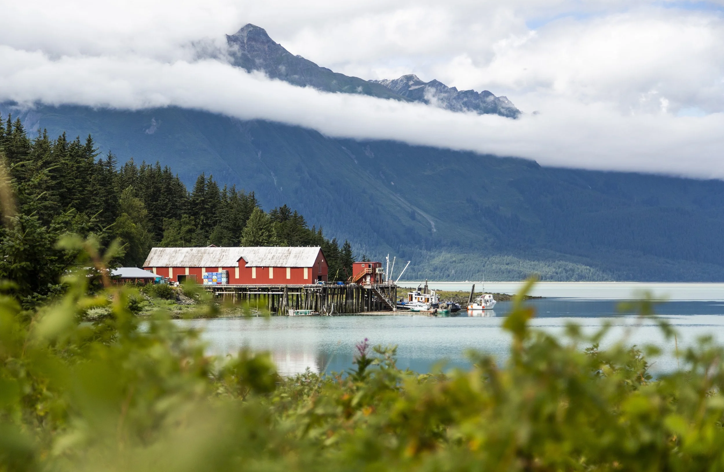 CHILKAT FOREVER