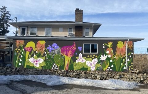 Viroqua Area Foundation