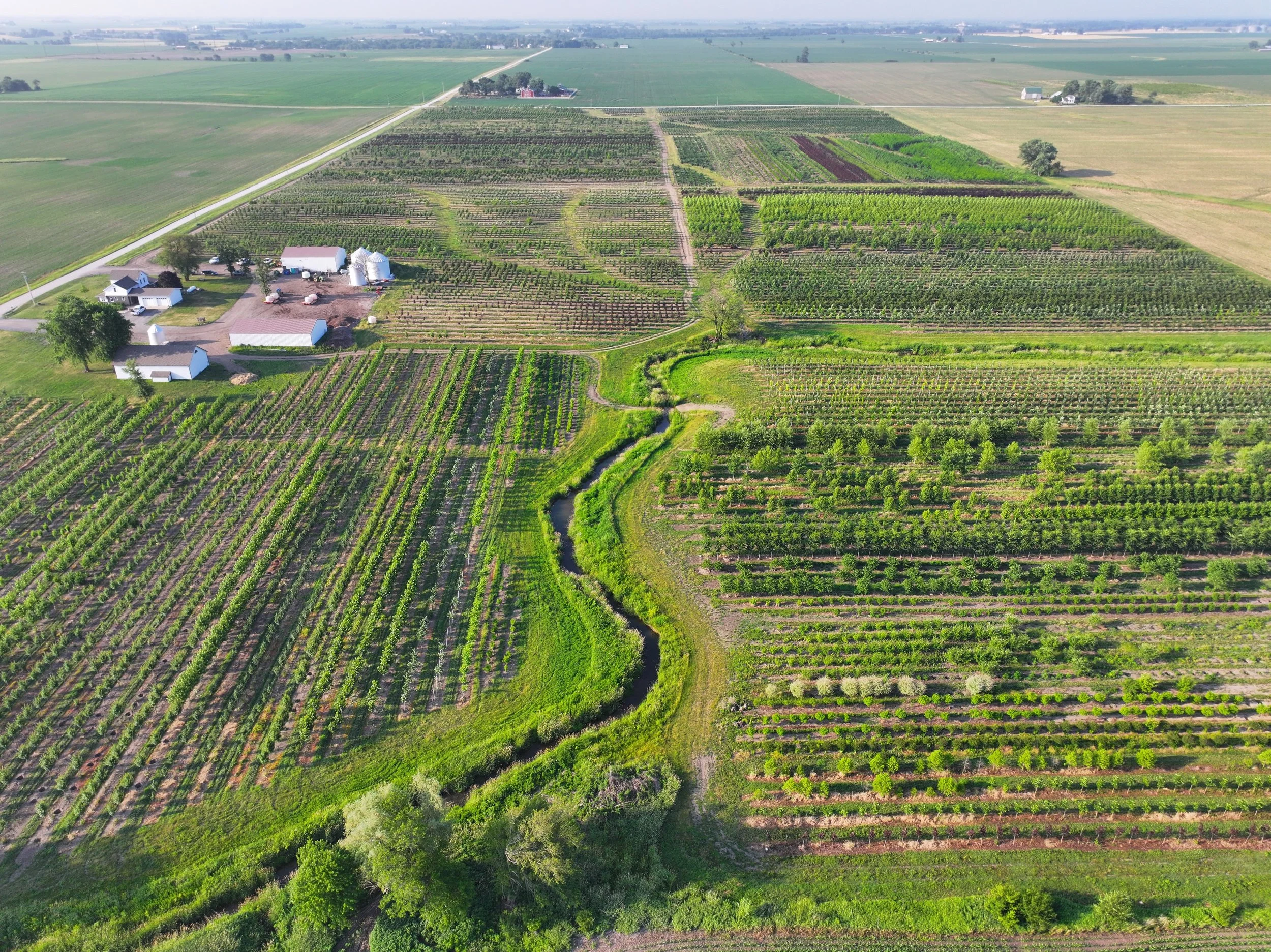 Cedar Path Nurseries