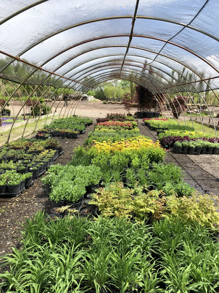 Cedar Path Nurseries