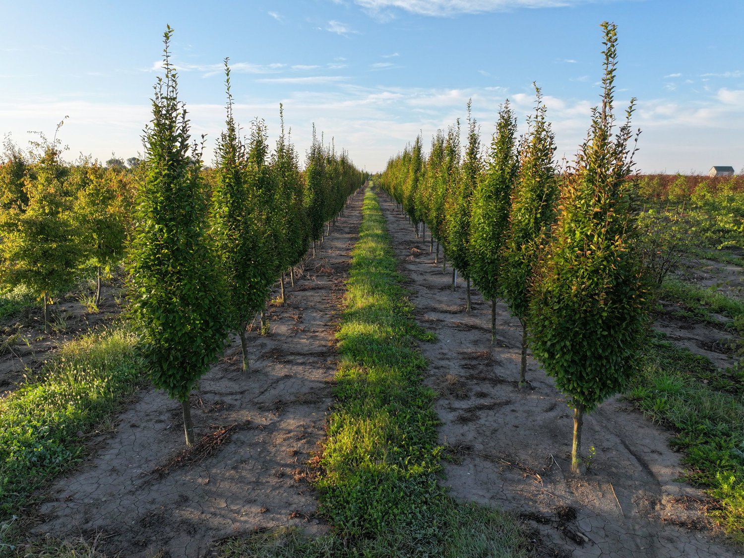Locations — Cedar Path Nurseries