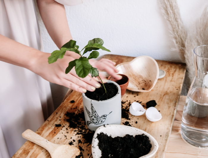How to Build Consistent Habits That Actually Stick — Hey Life Happens ...