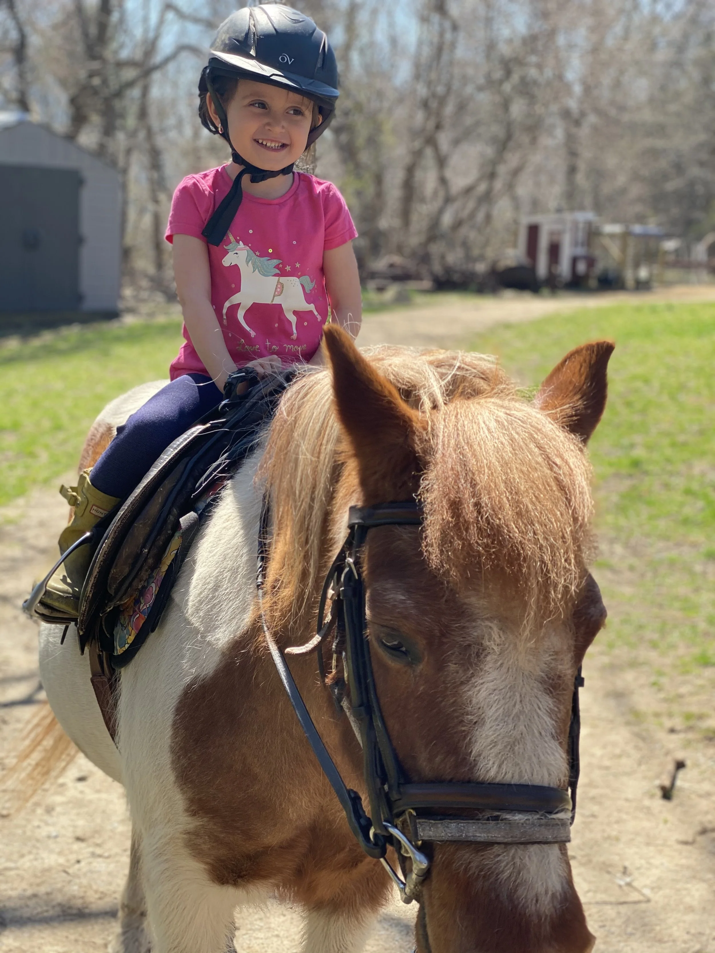 Getner Barn — Wishes For Horses