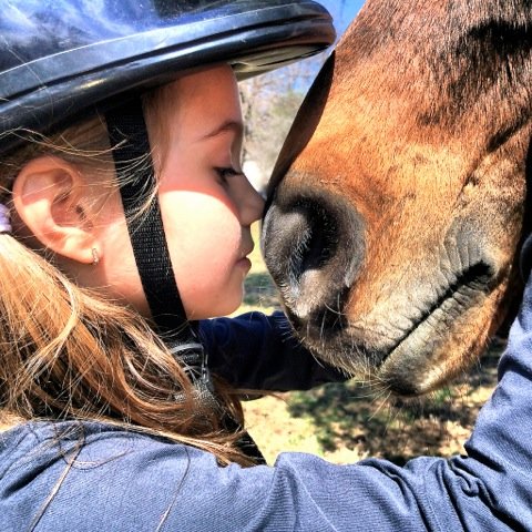 Scholarships — Wishes For Horses
