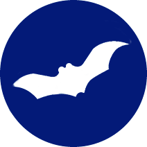 About David Dodds Associates Ltd — David Dodds Associates Ltd