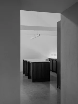 Steve Larkin Architects | Ballyblake — SHANTANU STARICK.