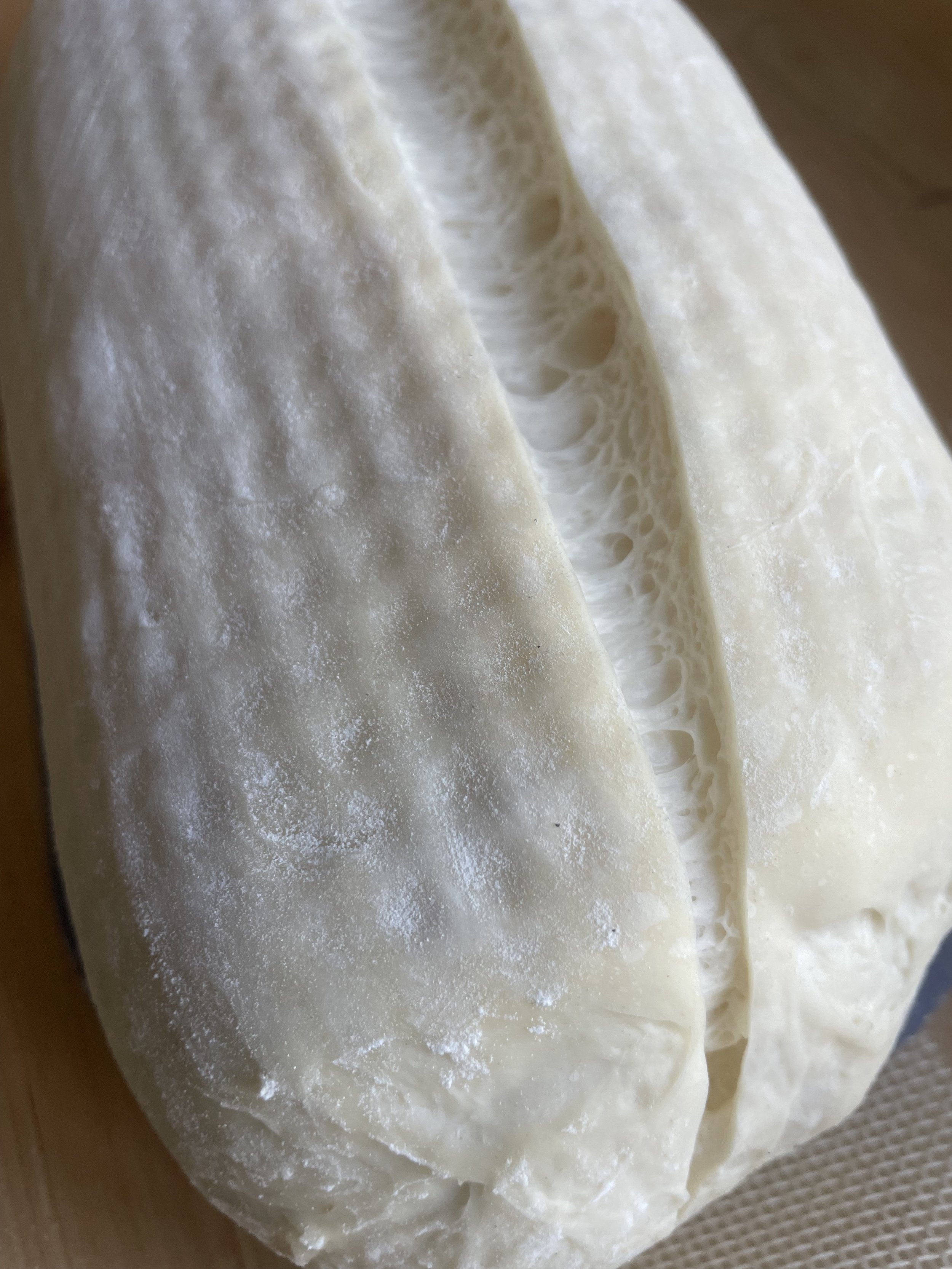 What Is Dough Elasticity And Why Does It Matter in Sourdough? — Bread ...