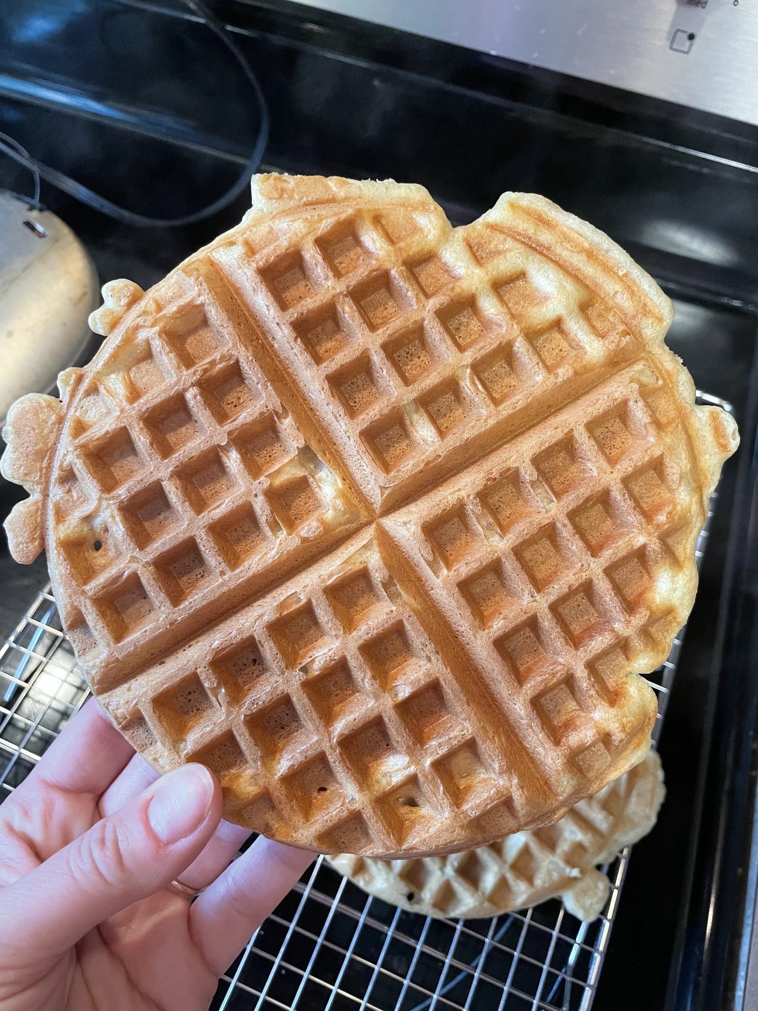Basic waffles with sourdough discard — Bread and Happiness