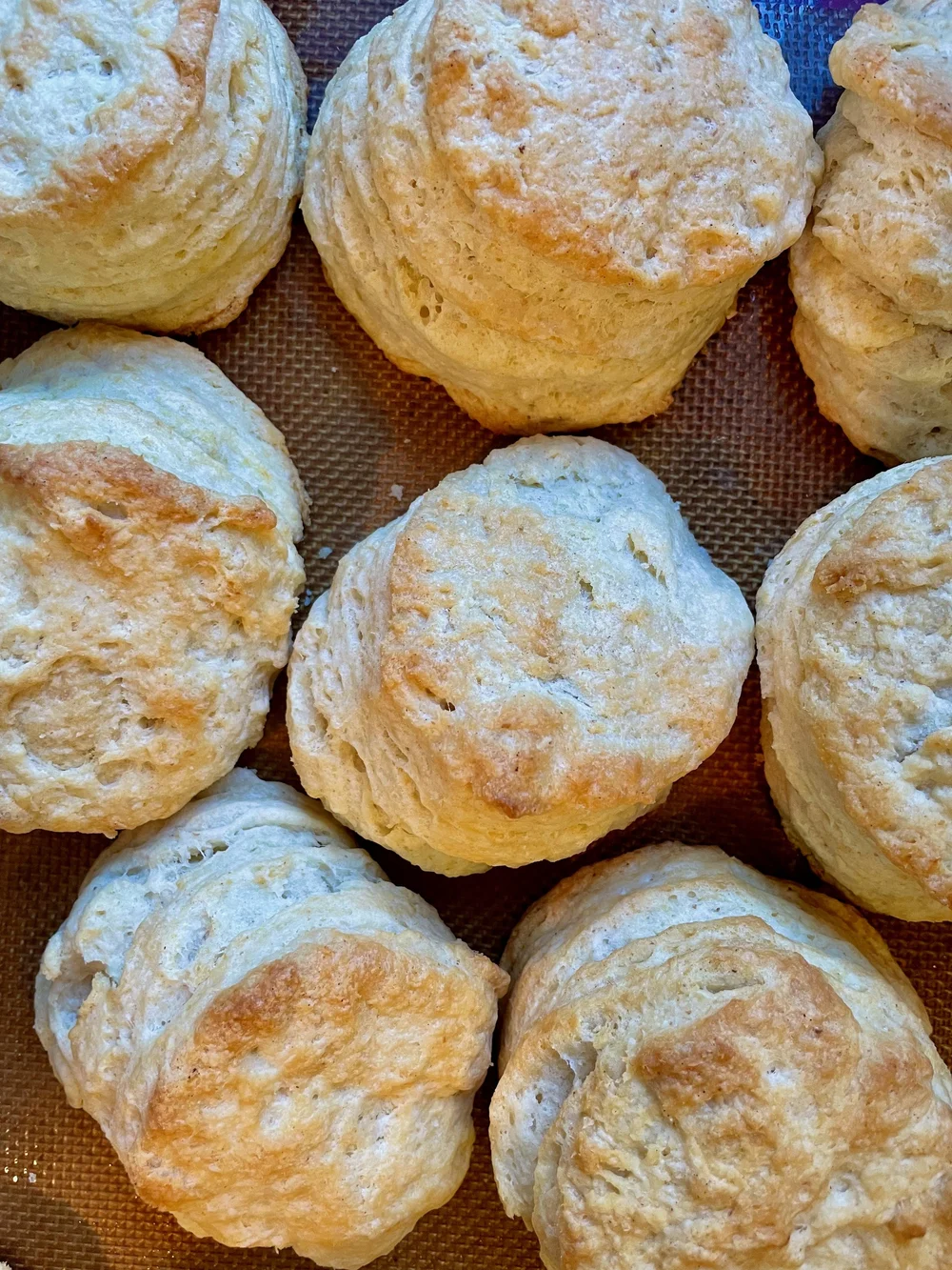 Flaky sourdough discard biscuits — Bread and Happiness