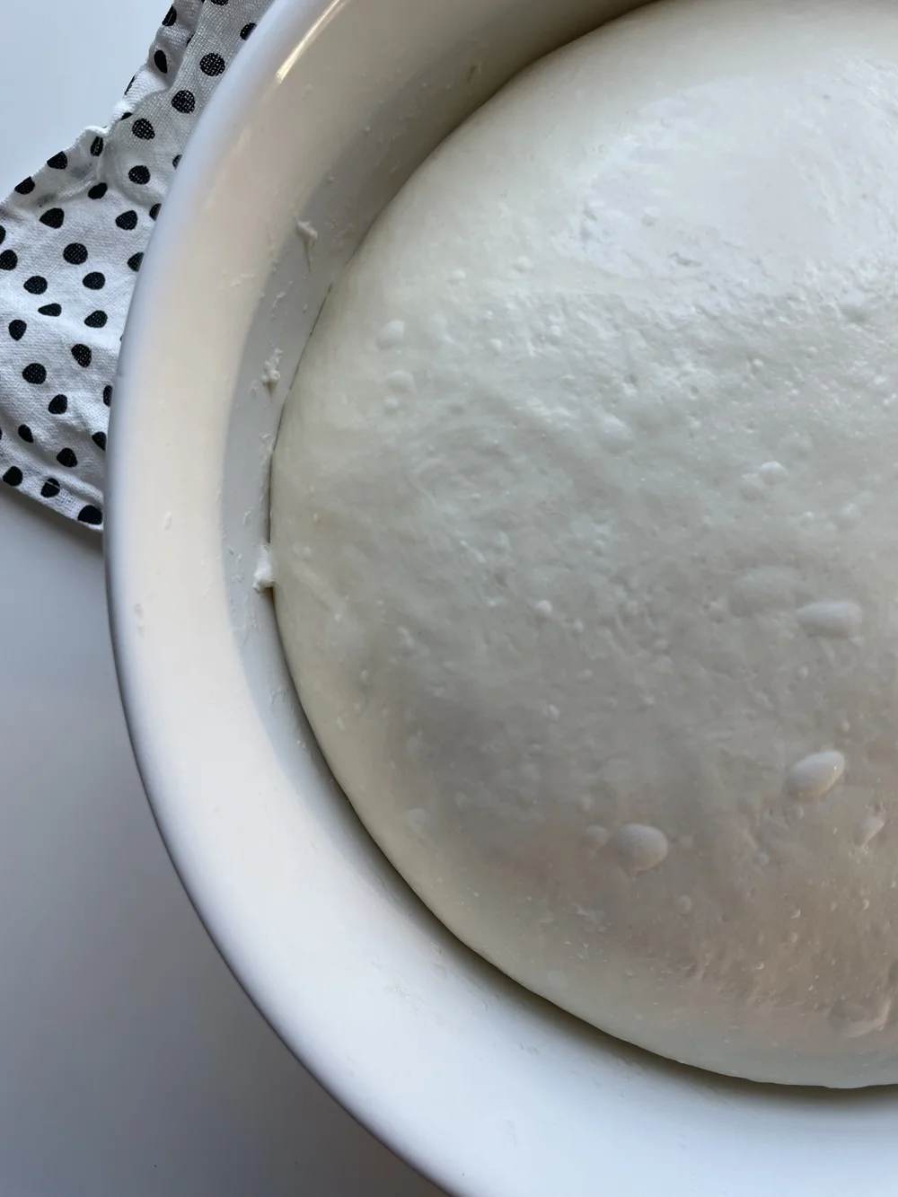 What Is Dough Elasticity And Why Does It Matter in Sourdough? — Bread ...