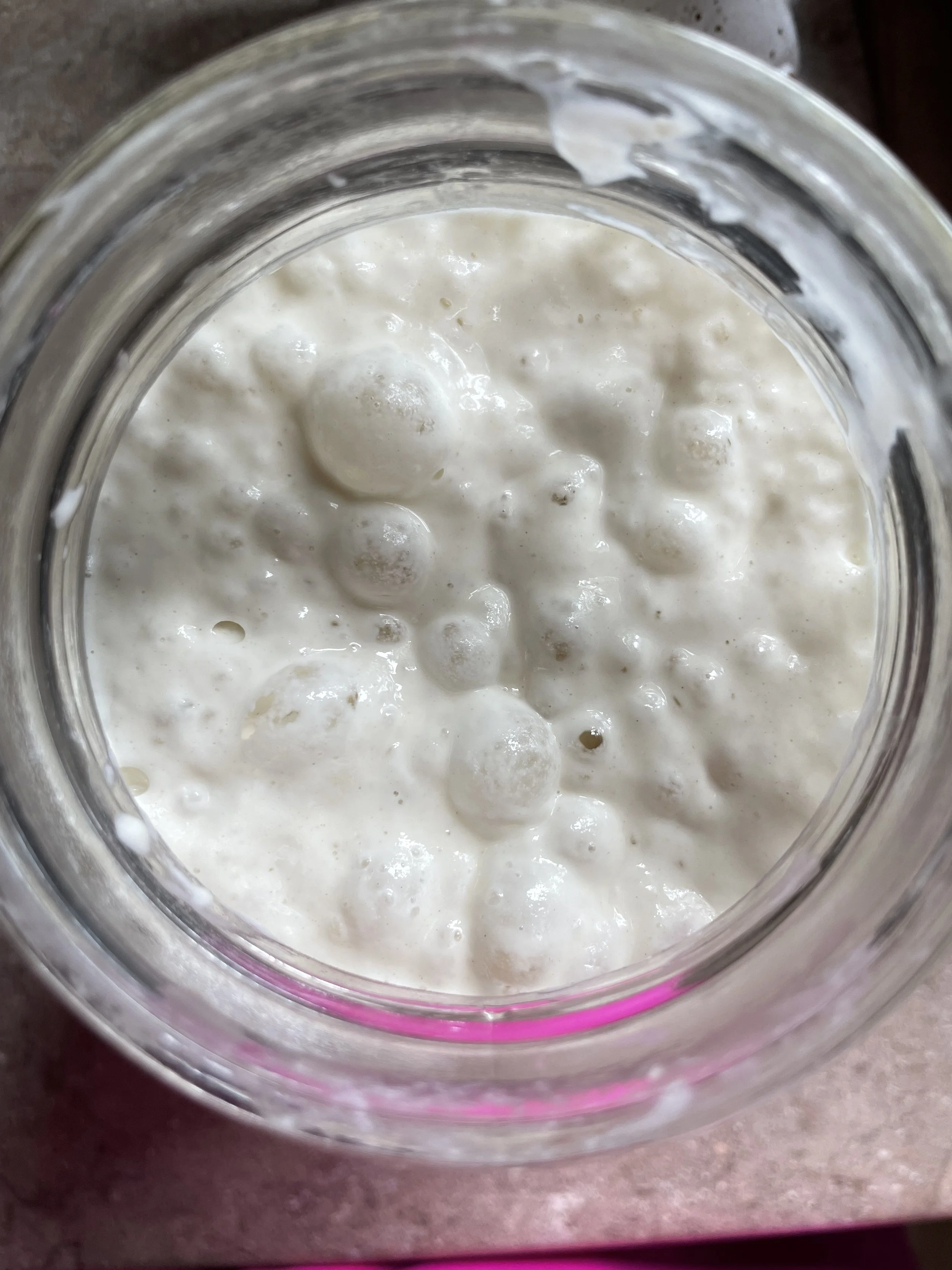 Levain vs. Starter: What’s the Difference in Sourdough? — Bread and ...