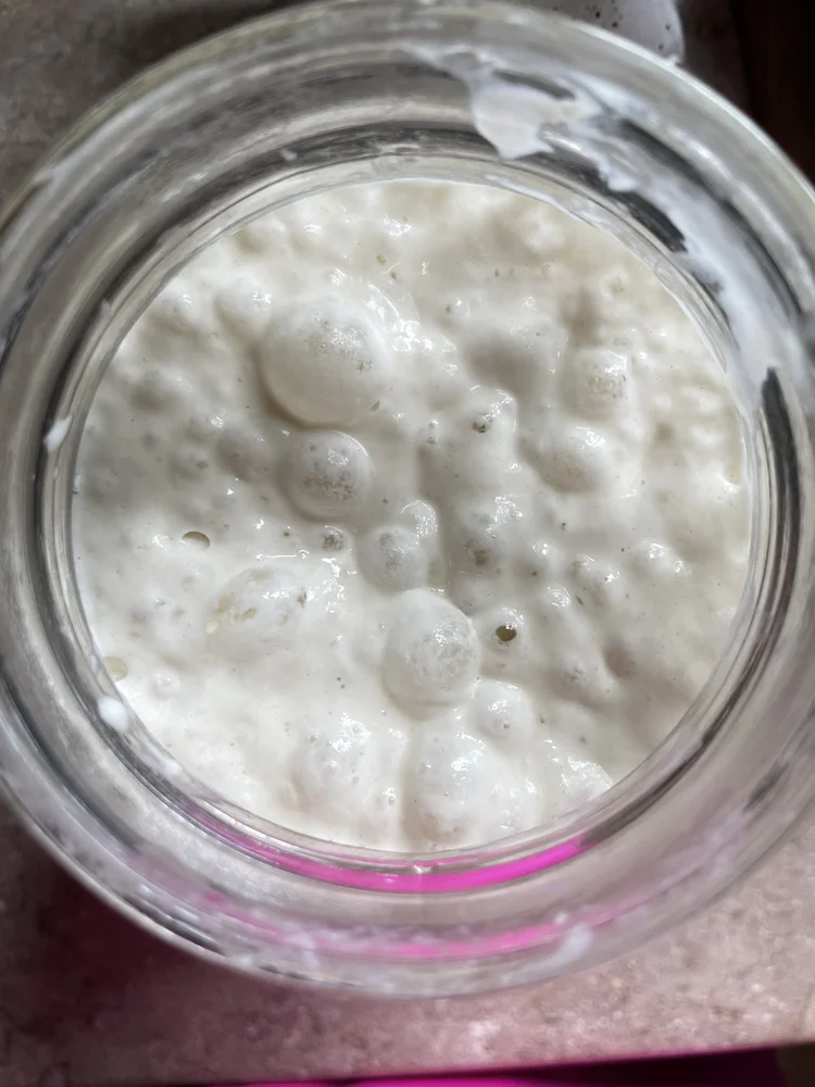 Levain vs. Starter: What’s the Difference in Sourdough? — Bread and ...