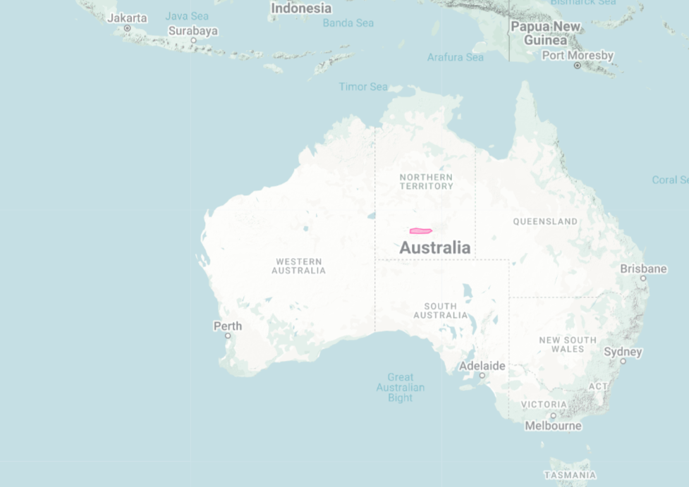 Central Rock-Rat — Curious Species