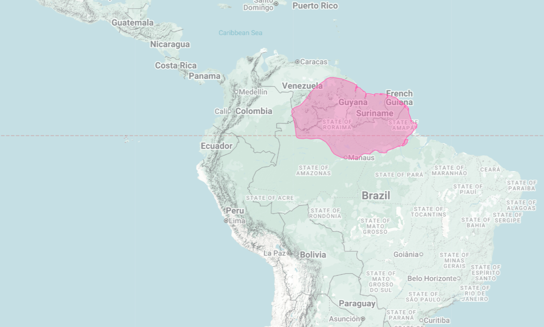 Capuchinbird — Curious Species