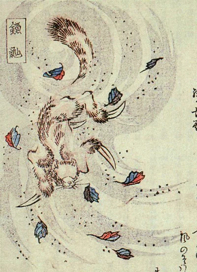 Japanese Weasel — Curious Species