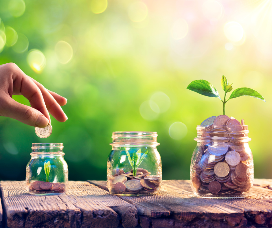 Grant Guidelines and Application