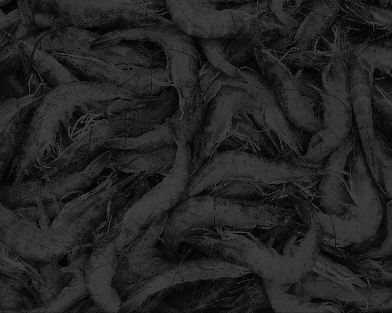 KI Nitrifier — Keeton Industries | Targeted Probiotics for Aquaculture