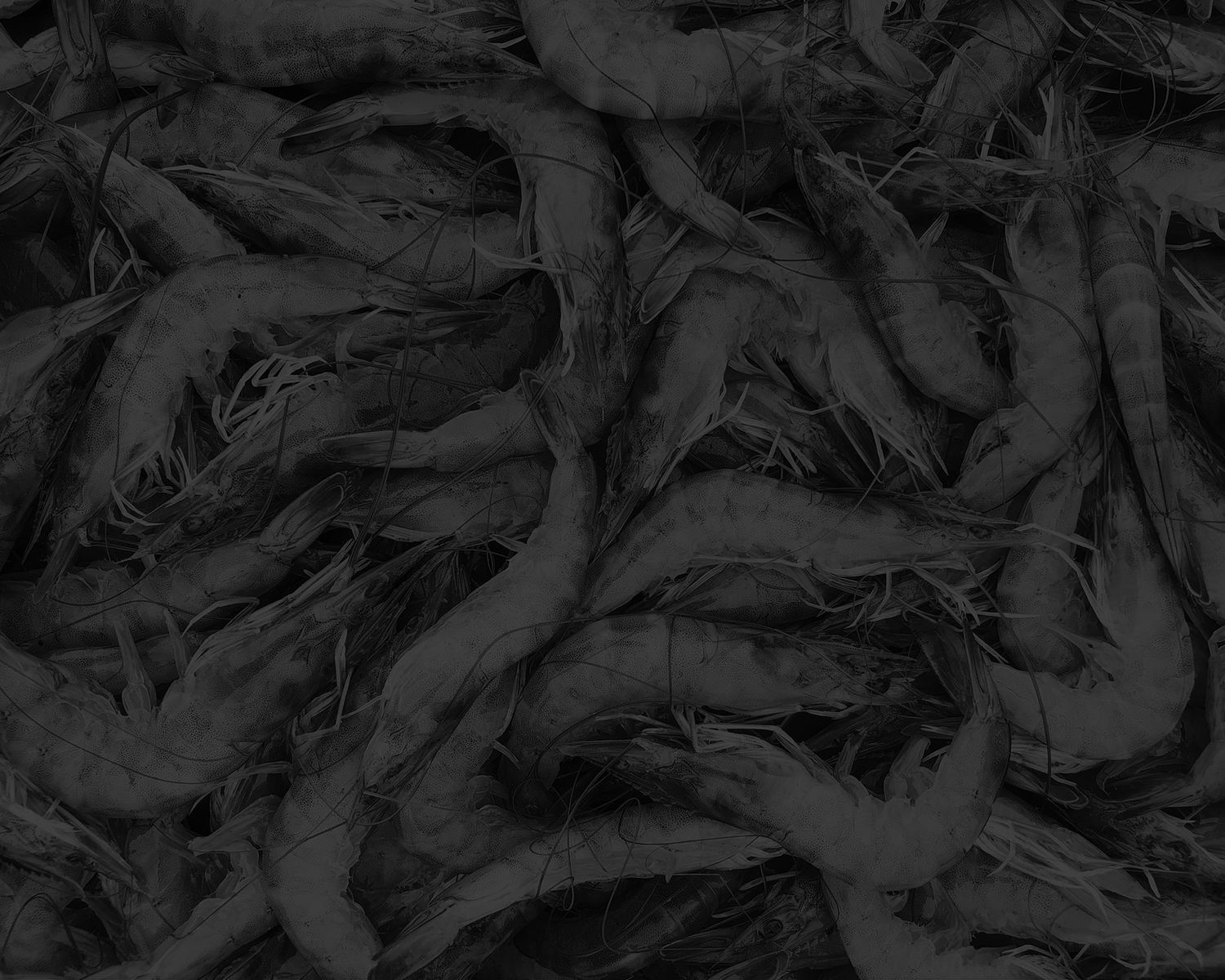 Waste and Sludge Remover — Keeton Industries | Targeted Probiotics for ...