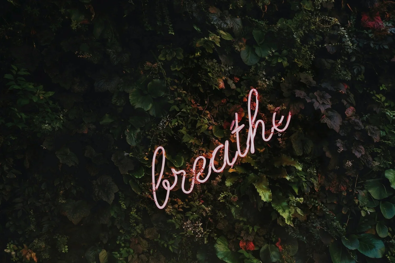 Jessica Jones, RMT | Vernon, BC