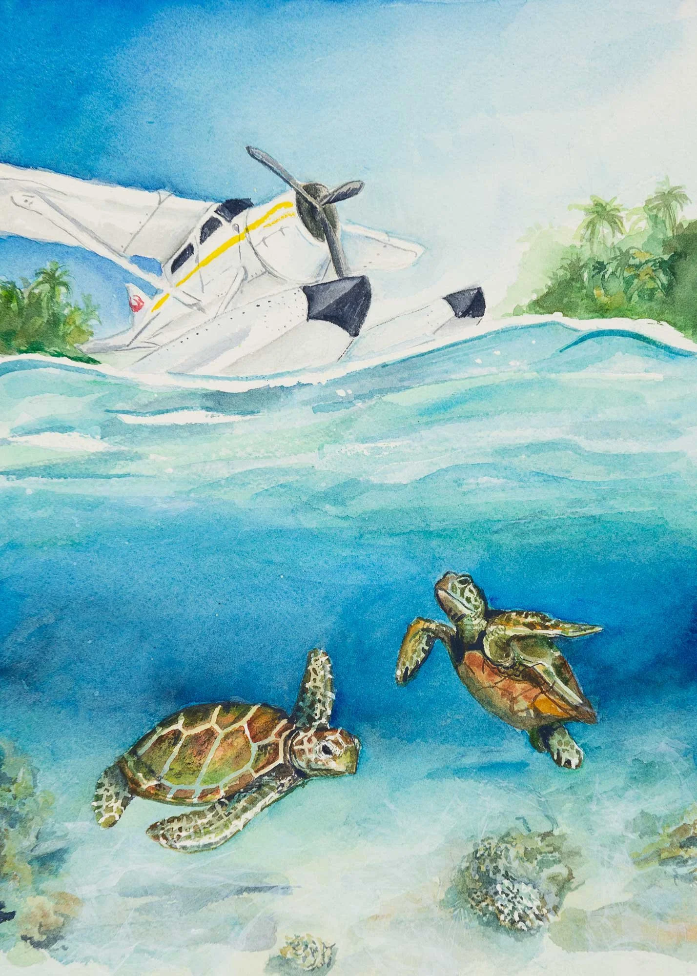 Watercolor — Amanda Daley Art