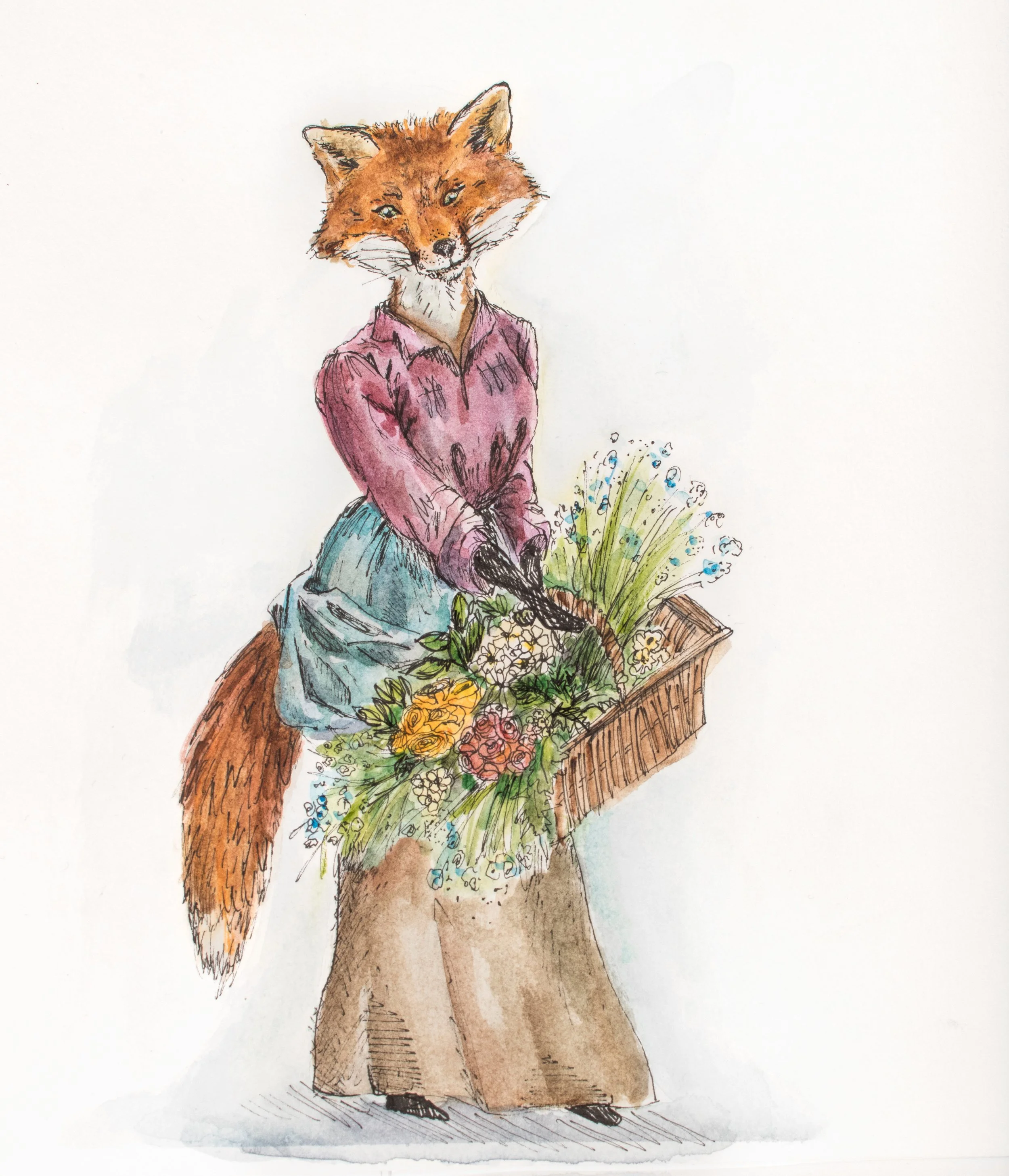Watercolor — Amanda Daley Art