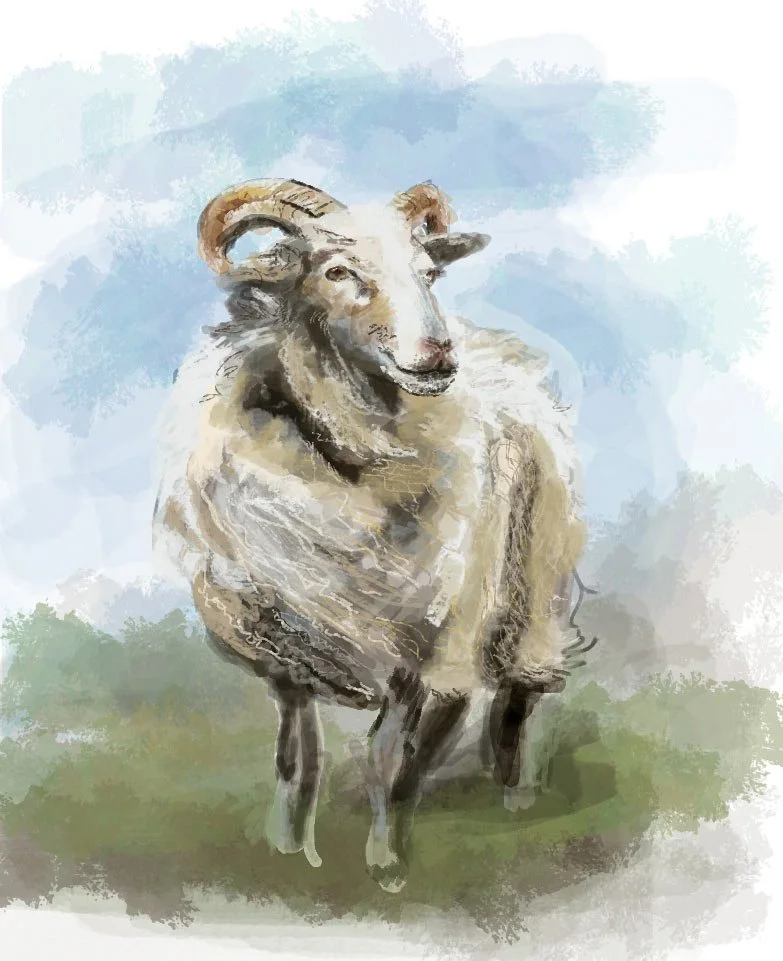 Watercolor — Amanda Daley Art