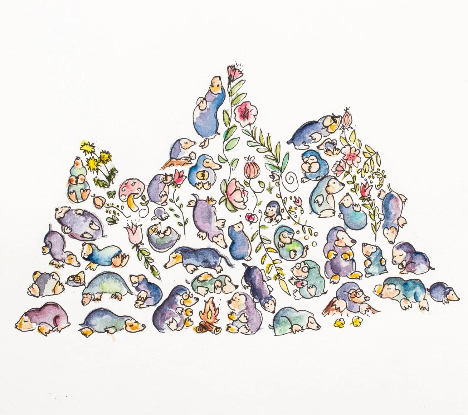 Watercolor — Amanda Daley Art