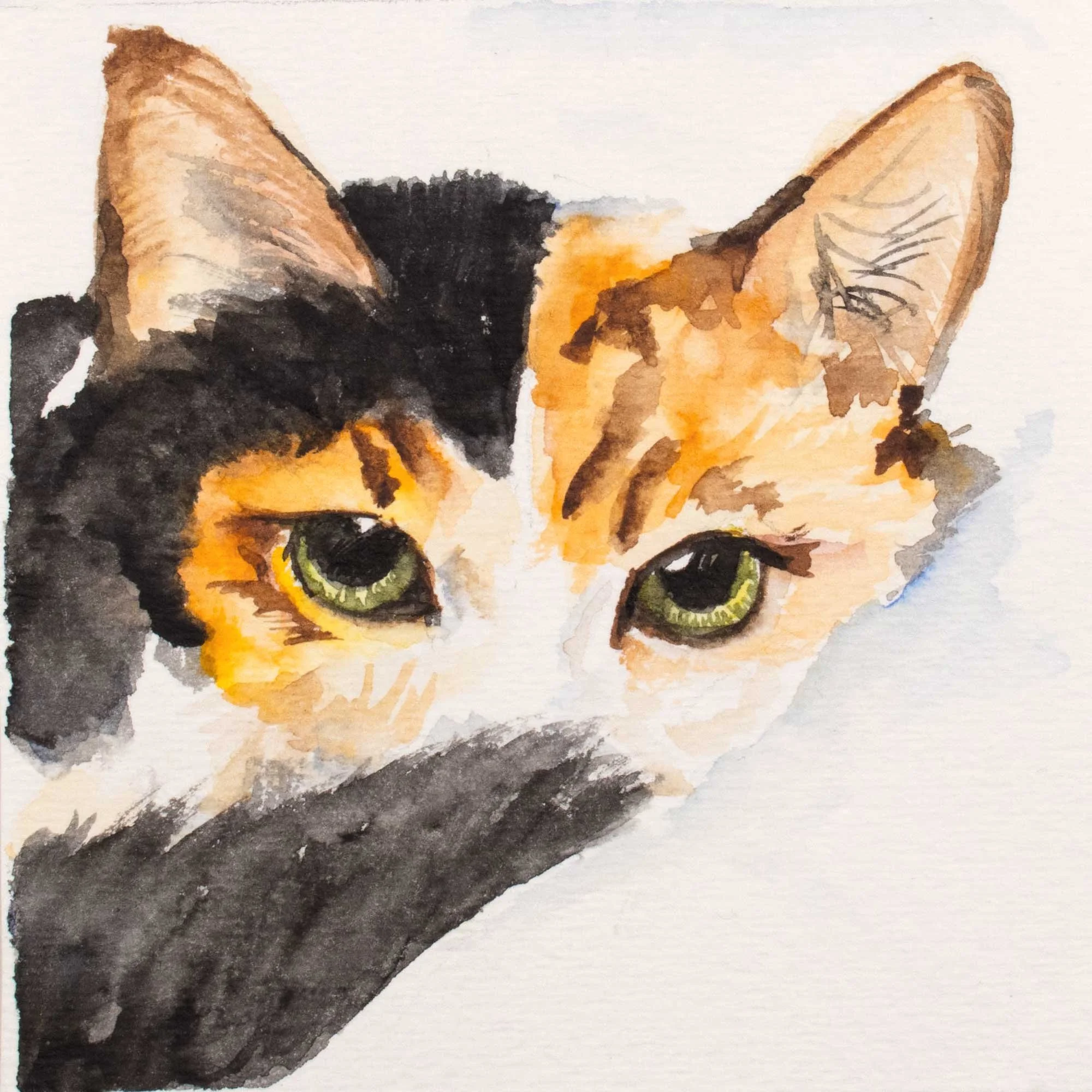 Watercolor — Amanda Daley Art
