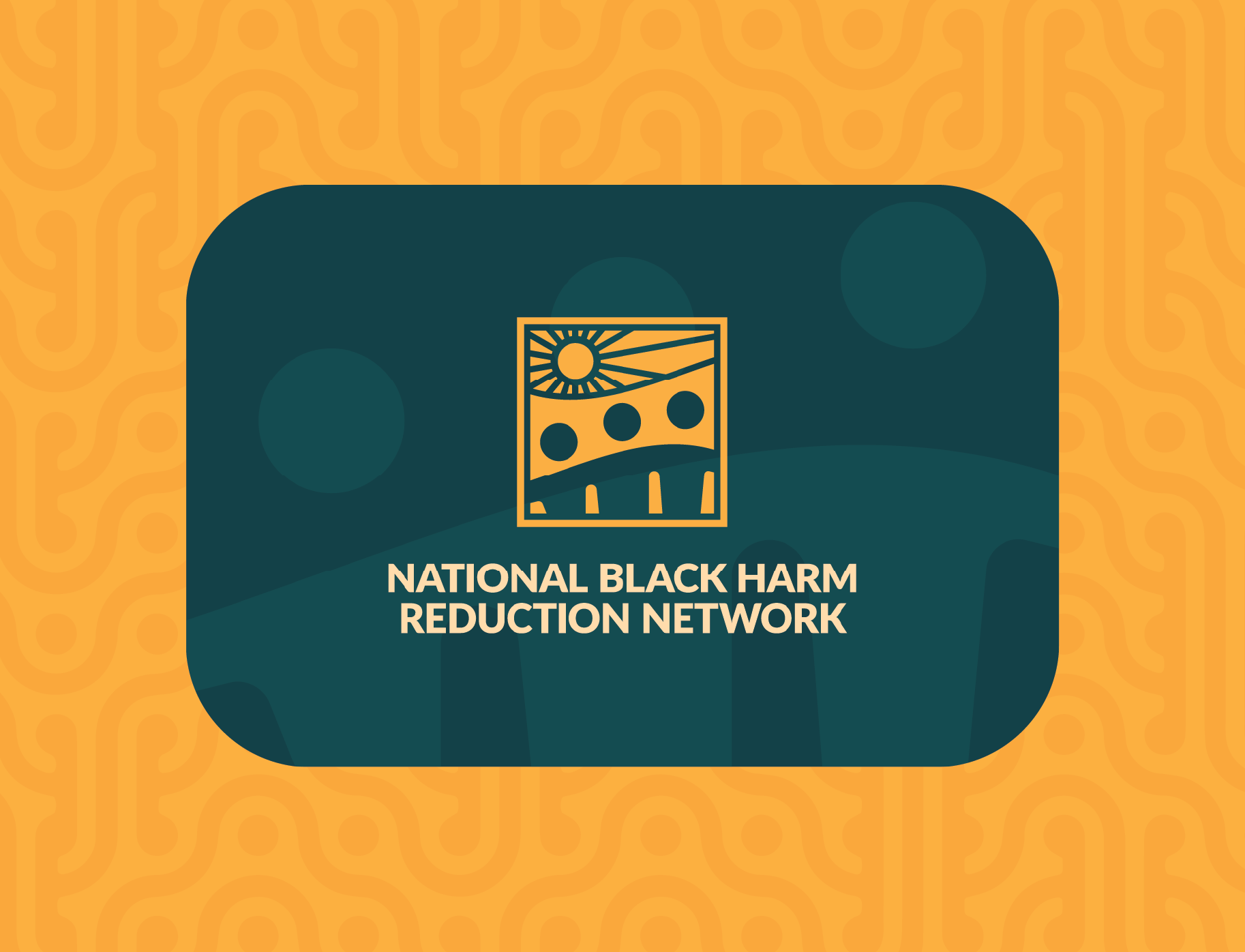 National Black Harm Reduction Network (NBHRN)