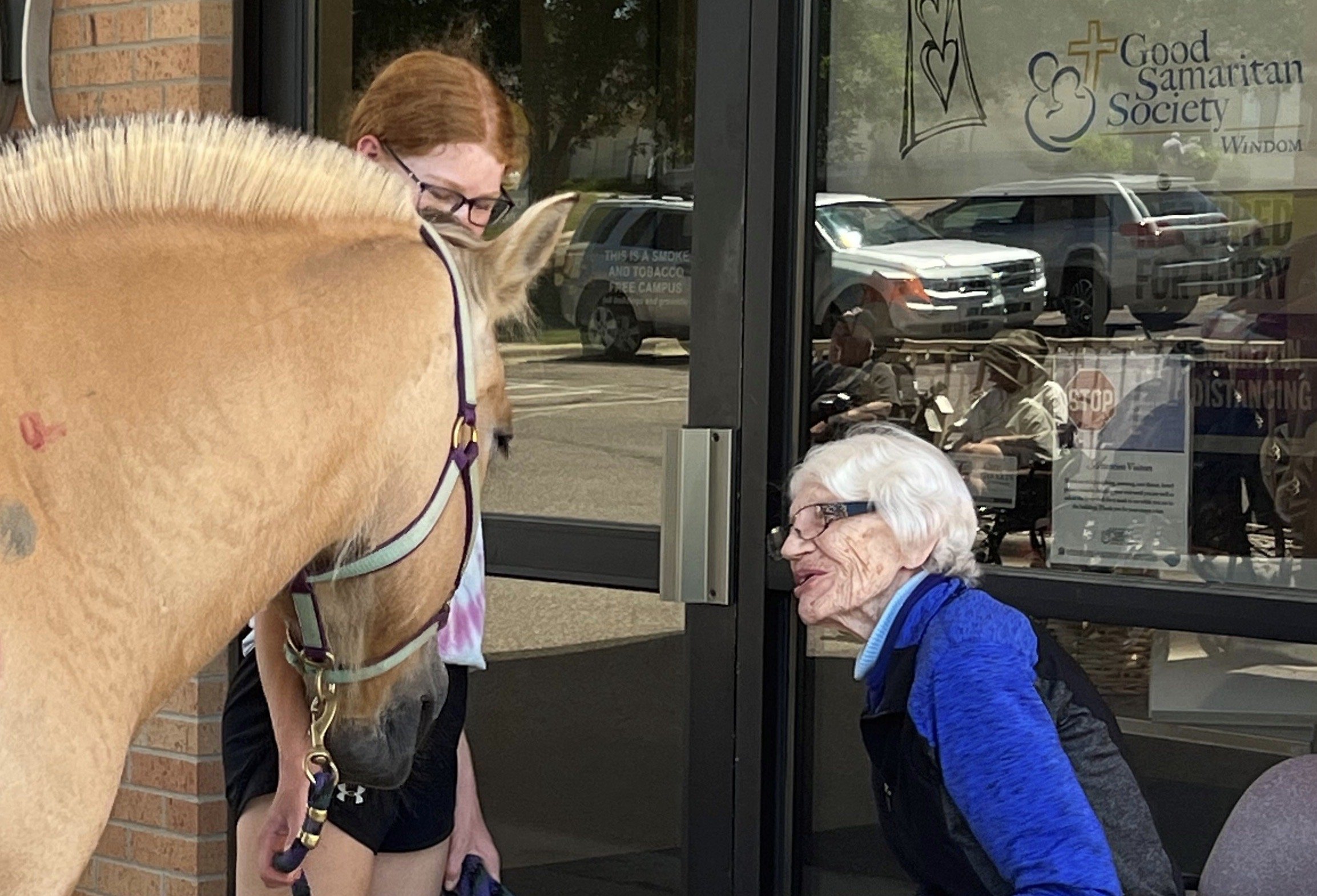 Good Samaritan Society Costume Horse Parades — Reinbows Inc