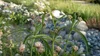 Sweet Smiling Landscapes, Landscape Design