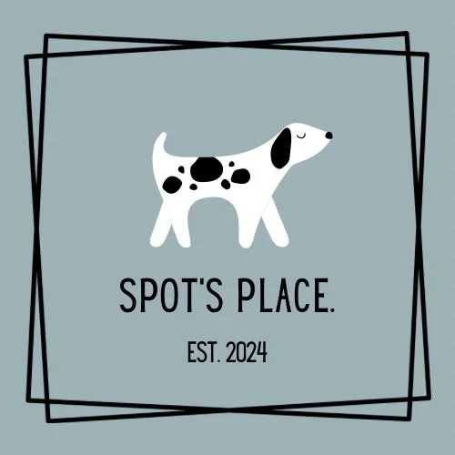 SpotsPlace spotsplace