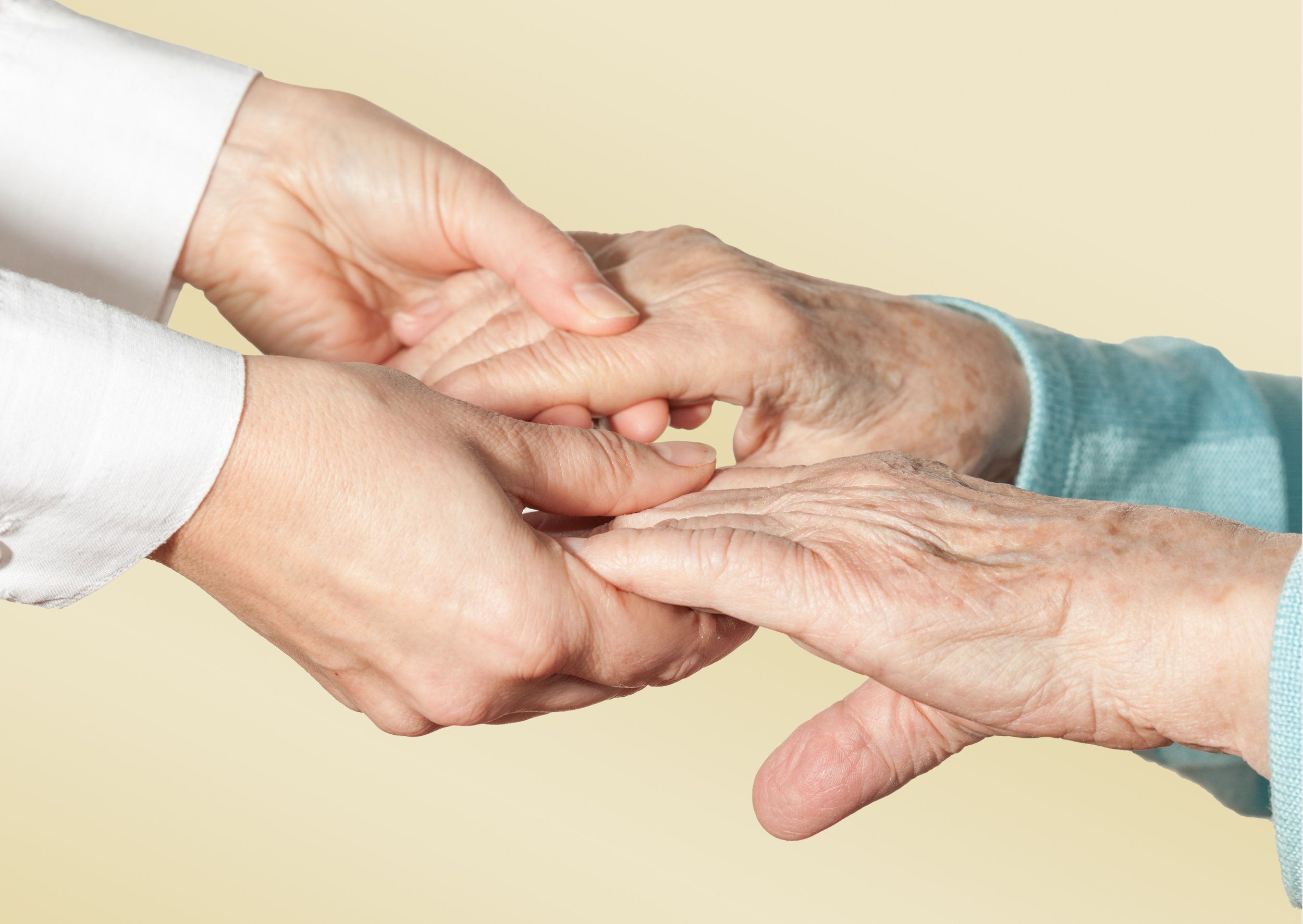 Who We Are — BioTech X-ray Inc. — BioTech X-ray Inc.