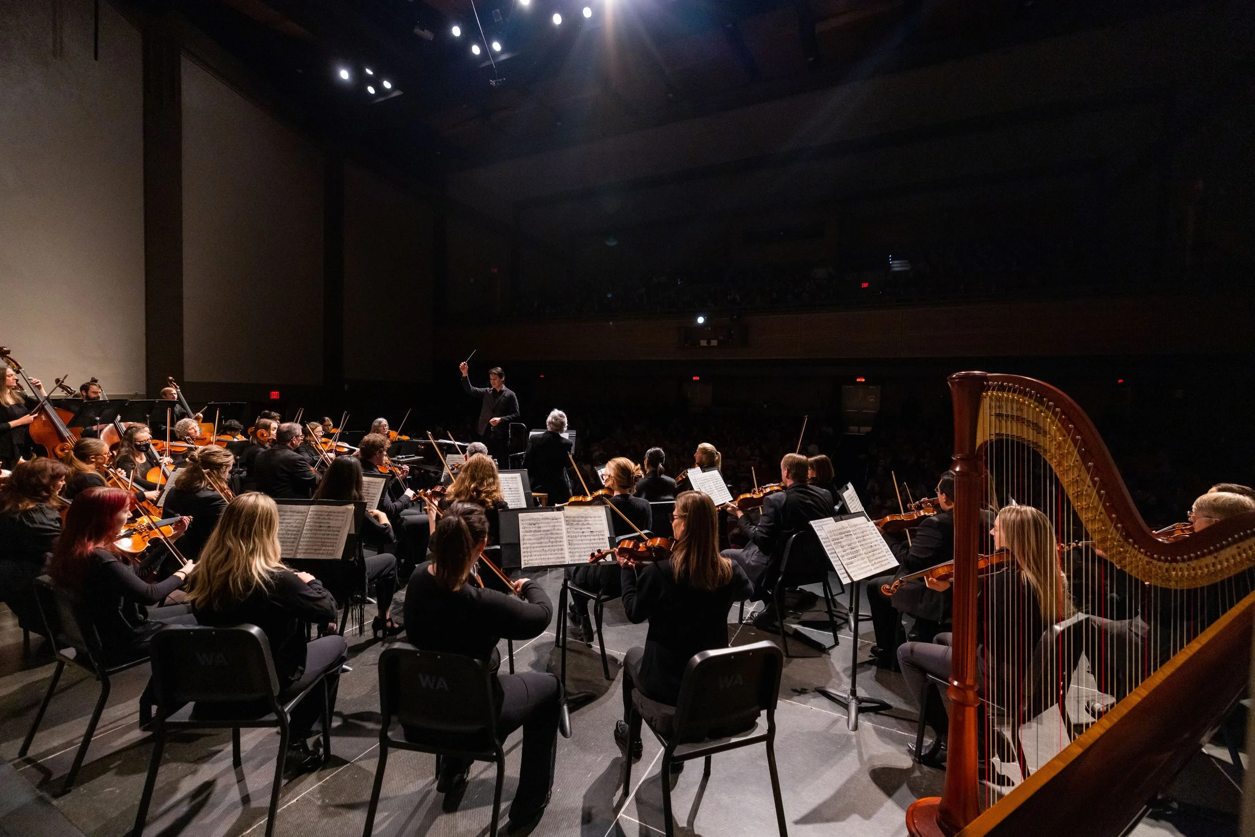 Meet the BSO — Bozeman Symphony