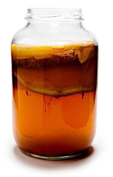 World Kombucha Day, February 21 — Web-Holidays.com