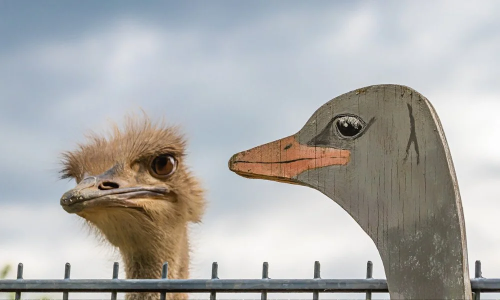 National Look Alike Day, April 20 — Web-Holidays.com