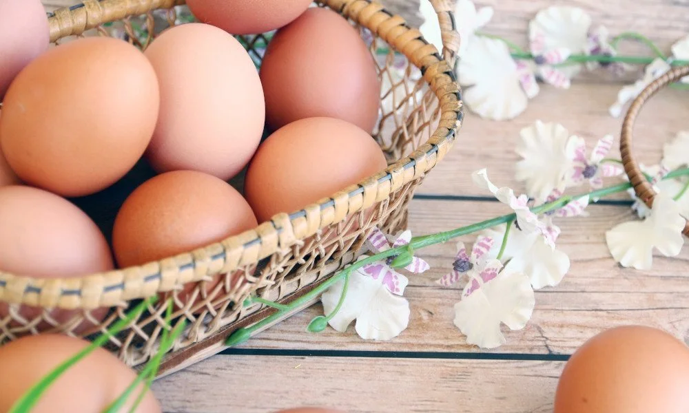 National Egg Day, June 3 — Web-Holidays.com