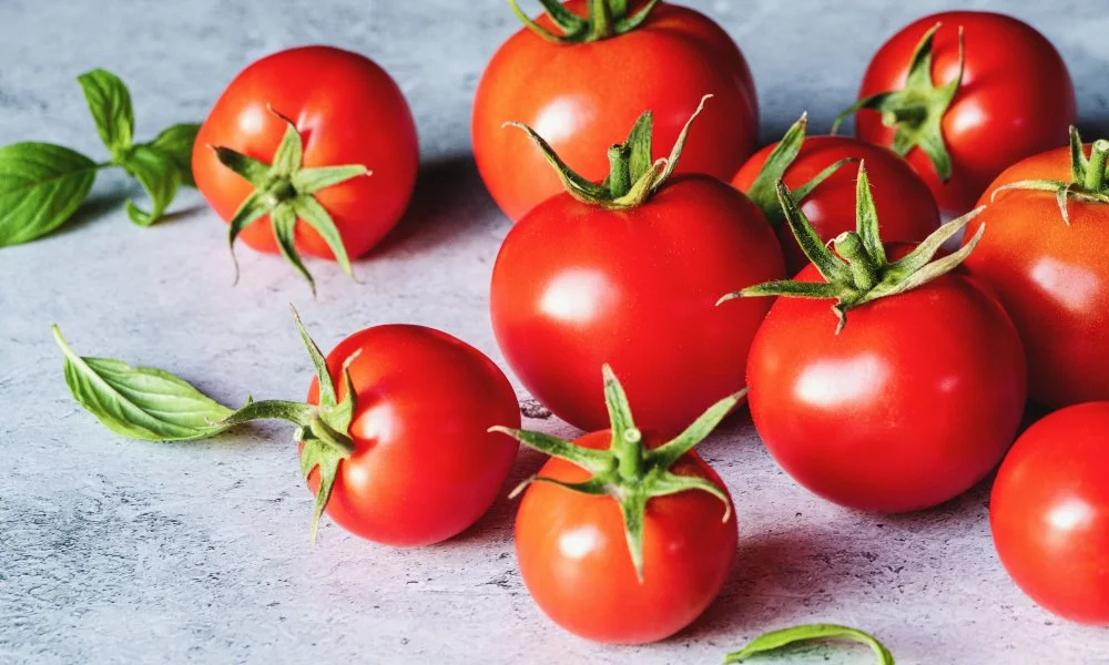 Fresh Tomato Day, April 6 — Web-Holidays.com