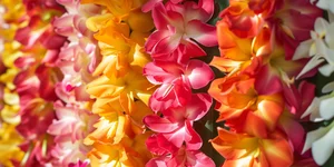 Lei Day, May 1 — Web-Holidays.com