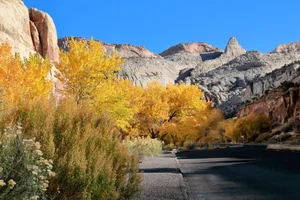 Utah Fall Colors: 7 Stunning Stops for Beautiful Foliage - Blacksford