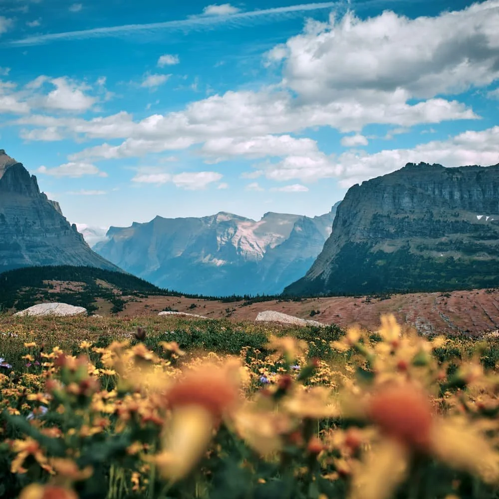 Best Time to Visit Glacier National Park - A Seasonal Guide - Blacksford