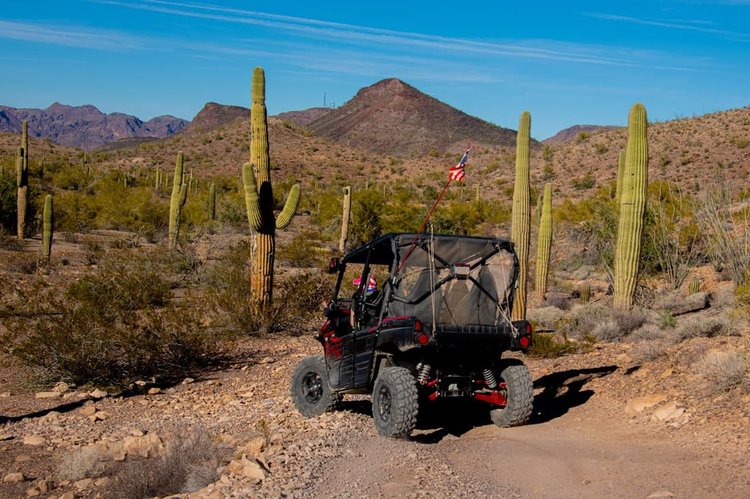 ATV in Riding Arizona: Best Trails for Off-Road Adventures - Blacksford