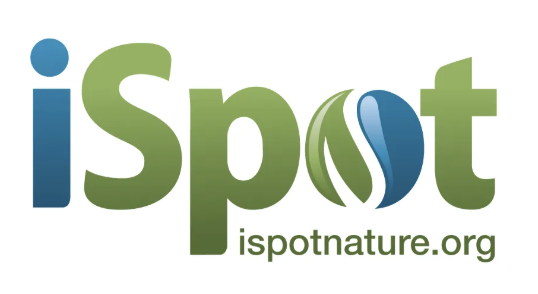 A personal history of iSpot -Jonathan Silvertown