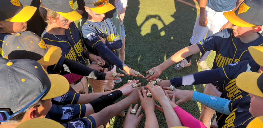 Travel Baseball — ProVision Athletics