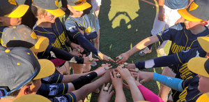Travel Ball — ProVision Athletics