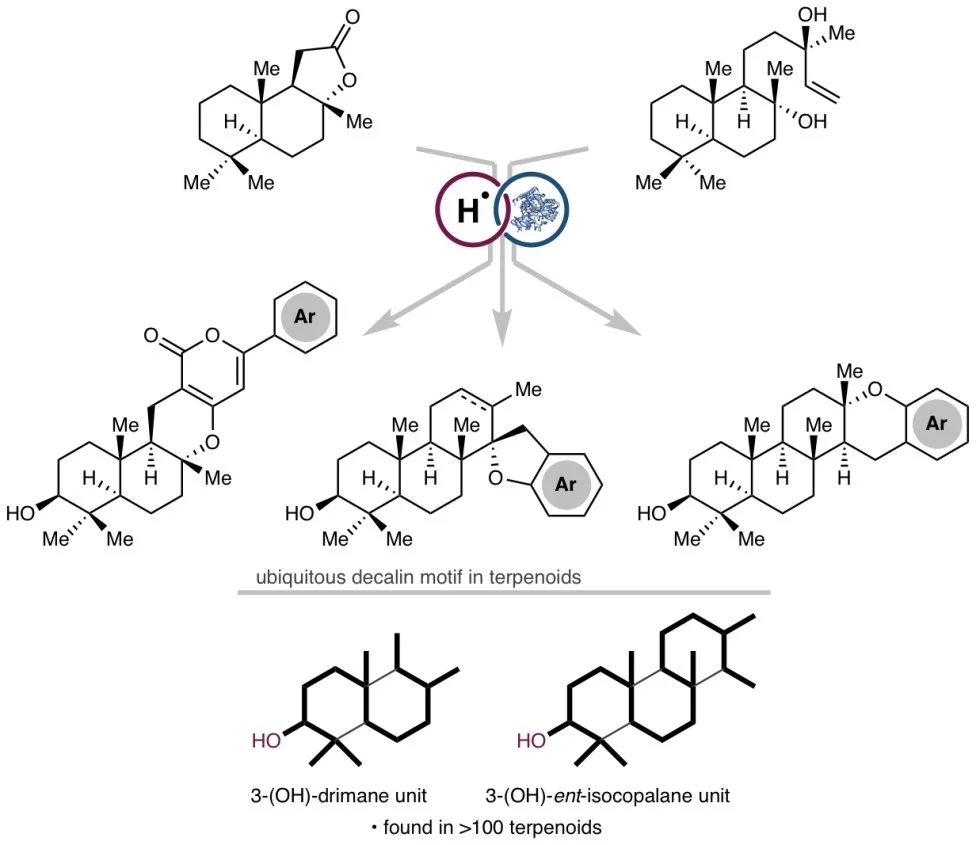 Publications — Li Lab