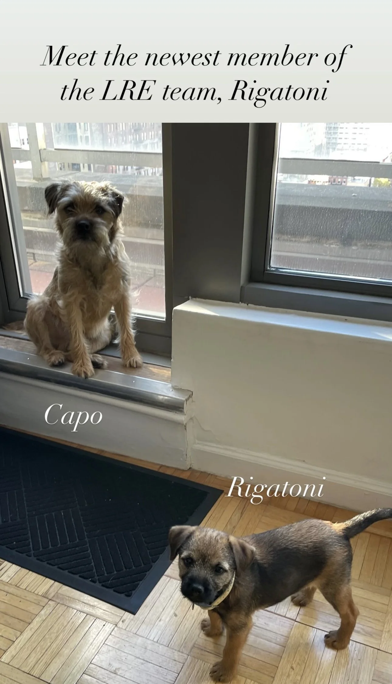 About Lee Ramsay Events | NYC Event Planner | Lee Ramsay Events