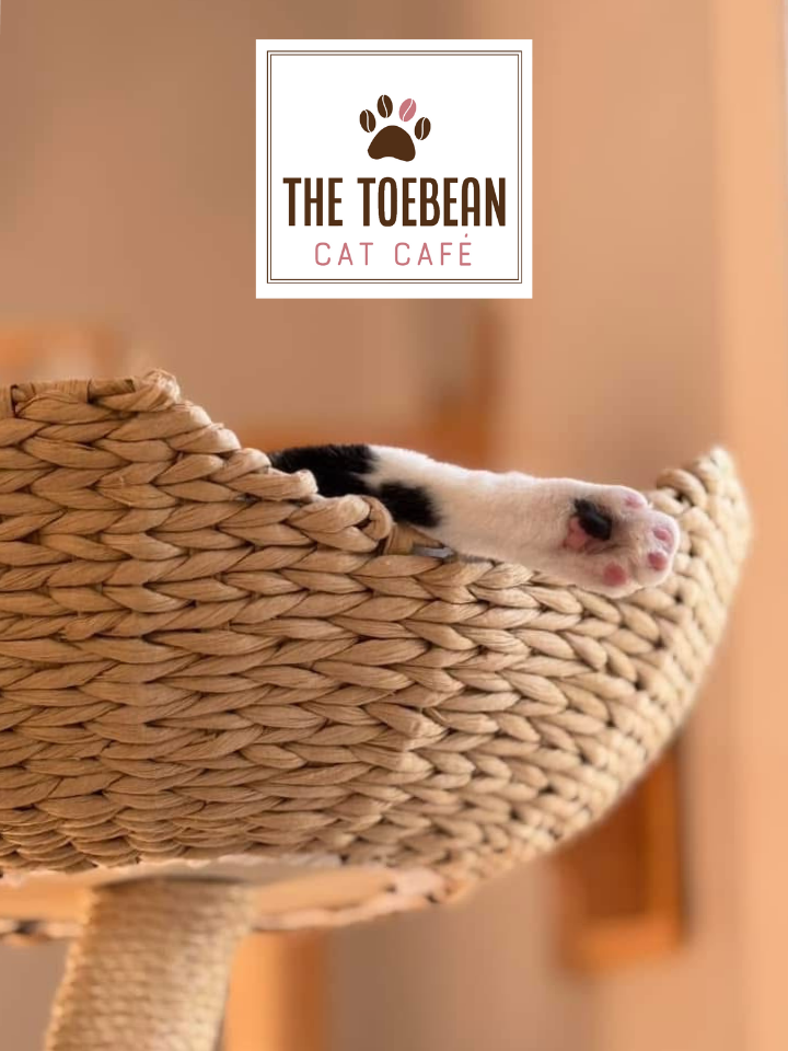 The Toebean Cat Café