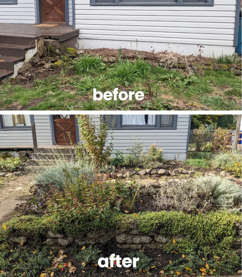 NATIVE PNW GARDEN IN PORTLAND, OREGON: TOUR — Hannah Rusnac