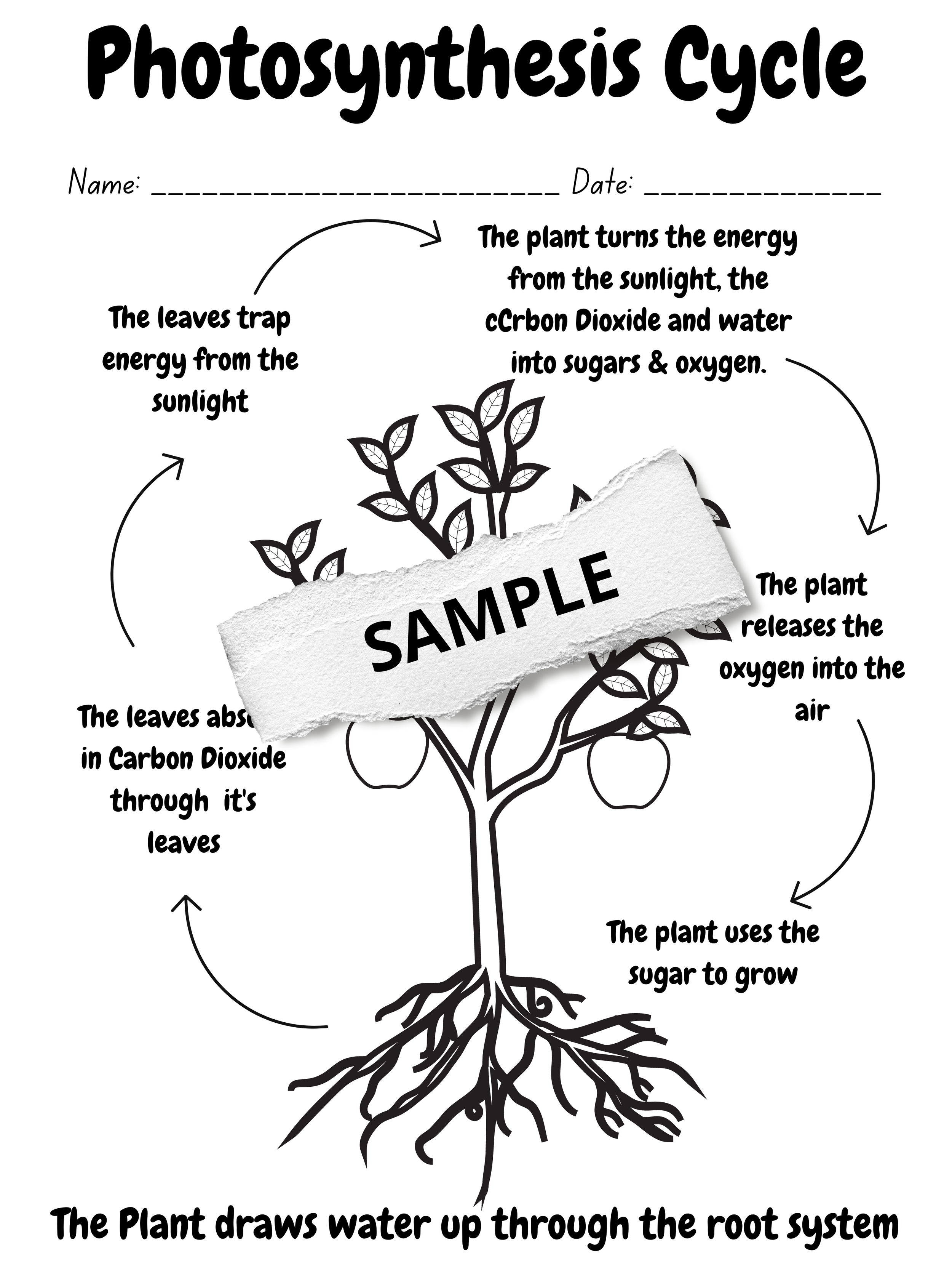 Family Input Template — The Educators Friend